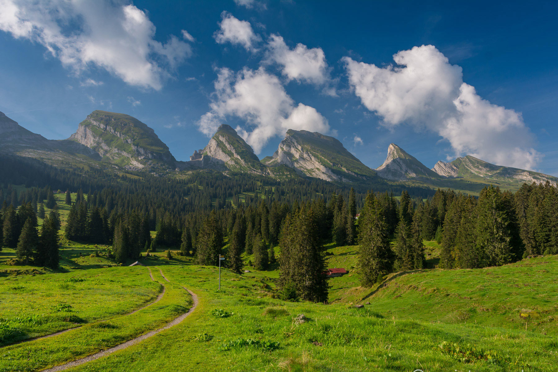 Les Seven Summits du Toggenburg Bächli Sports de Montagne