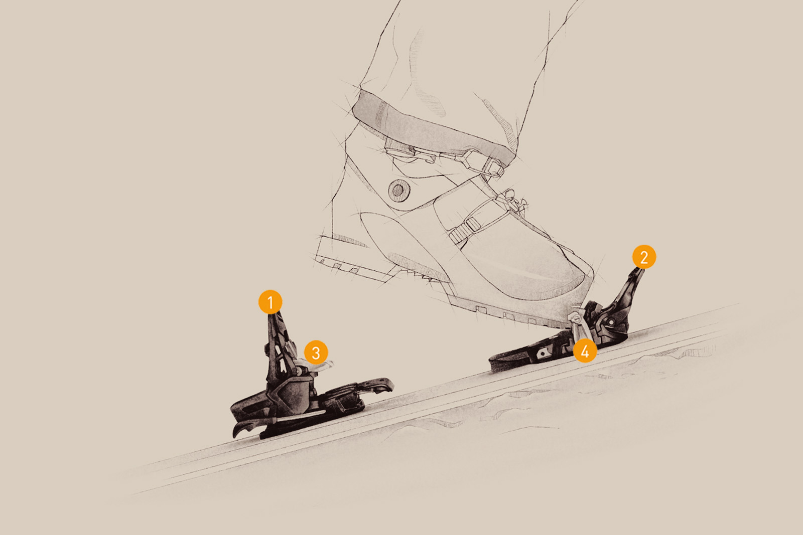 Ski, chaussure, fixation - une bonne équipe Bächli Bergsport