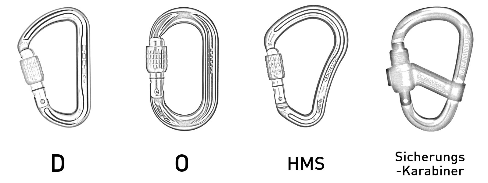 Gut verbunden: Karabiner und Haken Bächli Bergsport